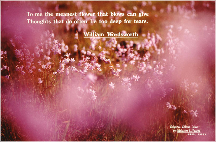 Summit Ventures | Photo Gallery