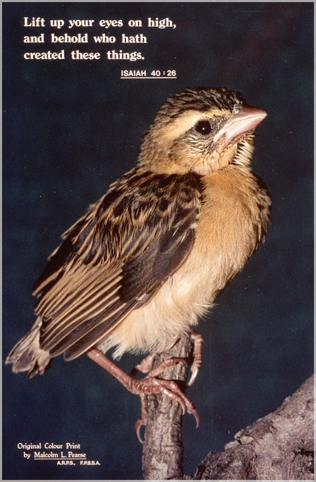 Summit Ventures | Photo Gallery